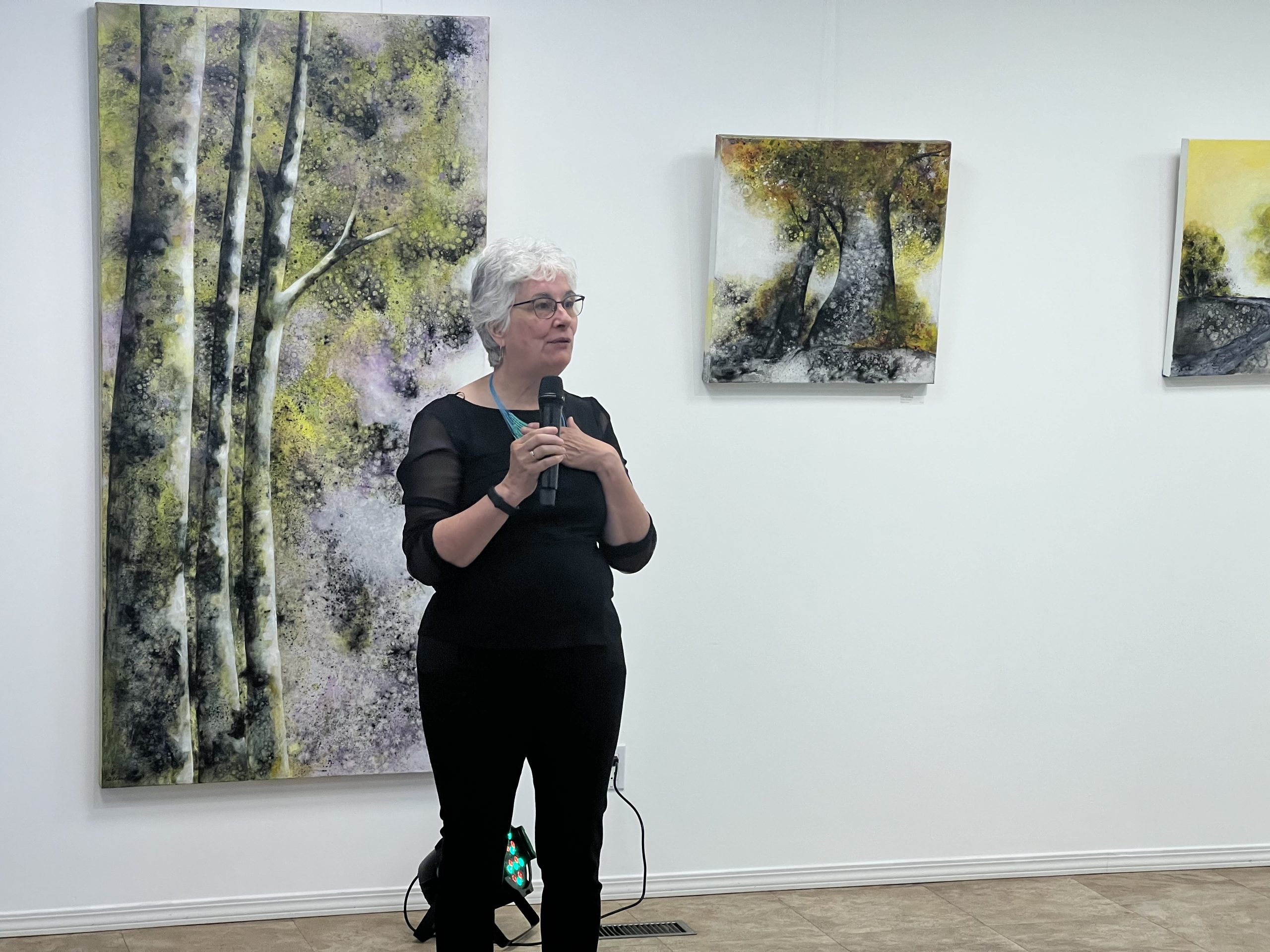 Le CAVA présente un vernissage signé Doris Charest – Radio Cité 97,9 FM